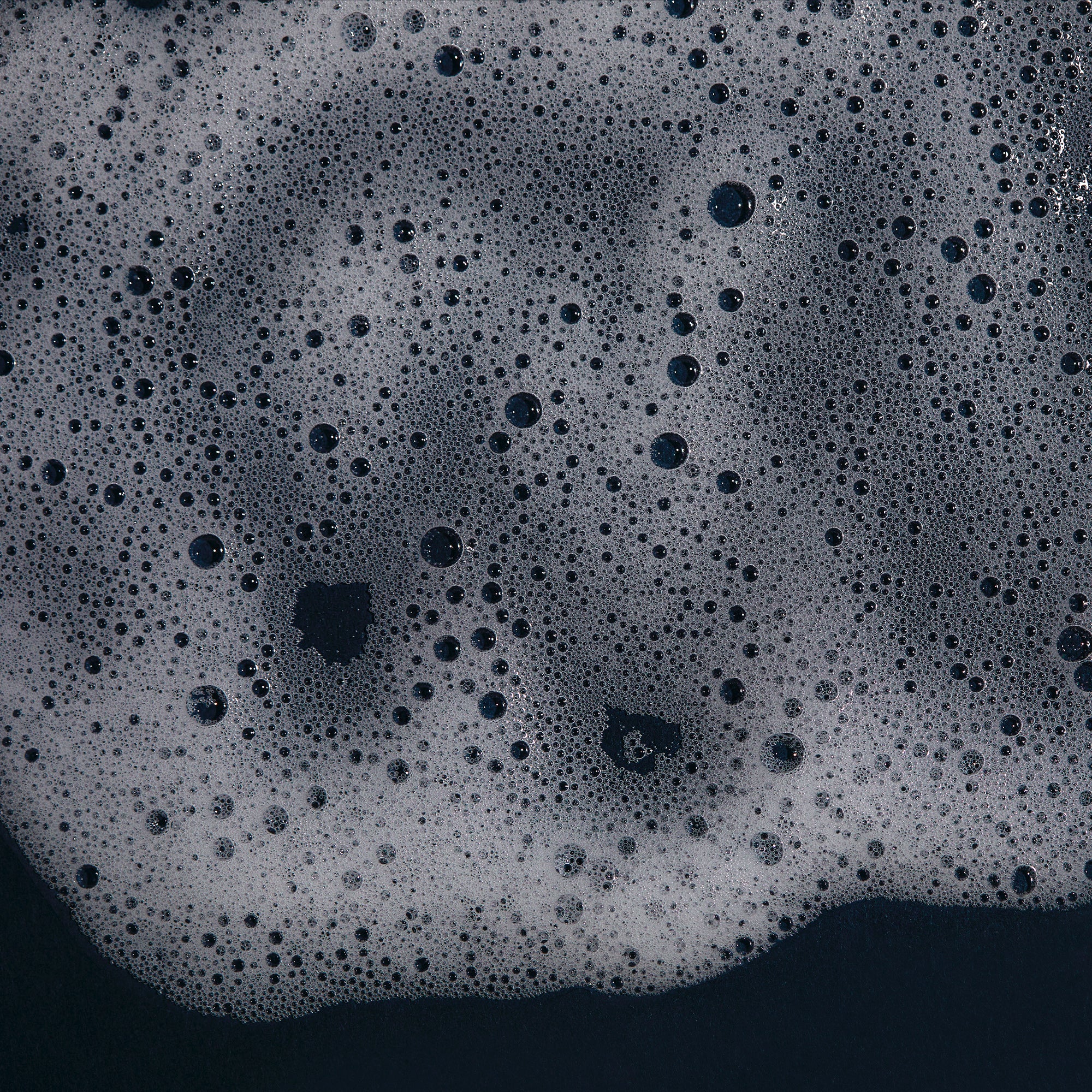 Mountain Fir & Elderflower Shampoo – LATHER